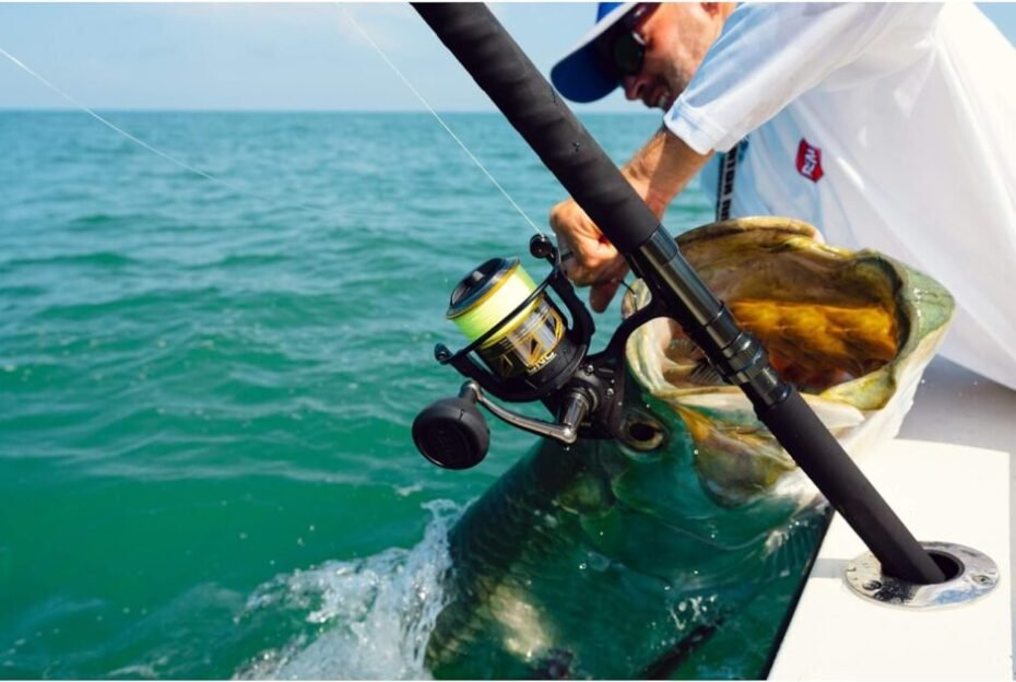 Penn Battle III Spinning Reel and Fishing Rod Combo Review – Best ...